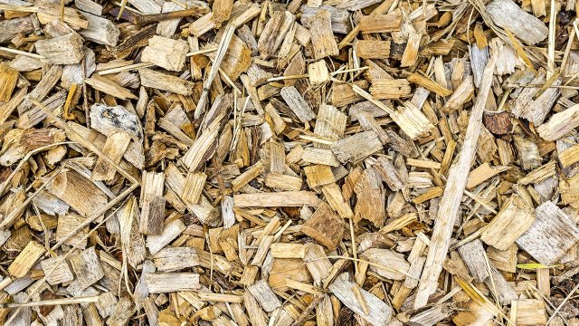 Types and Processing of Biomass - Renewable Energy Sources - Energy ...