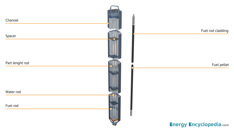 NPP BWR fuel assembly, schematic diagram - Images - Free Downloads ...