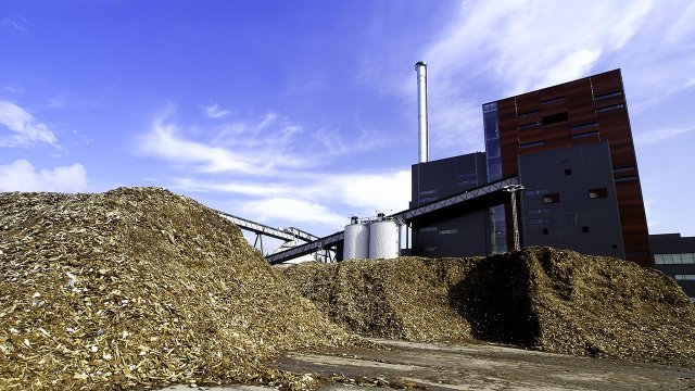 Biomass Power Plants - Renewable Energy Sources - Energy Encyclopedia