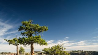 Heat from the Earth’s Core - Renewable Energy Sources - Energy Encyclopedia