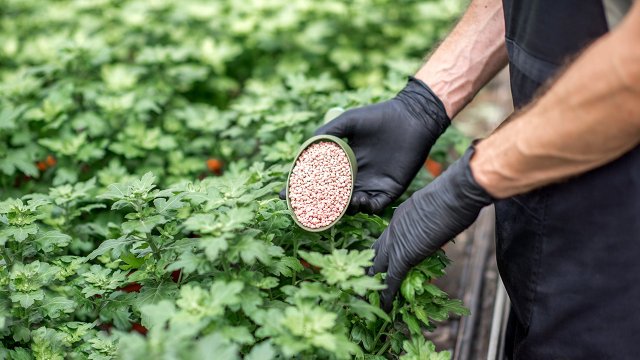 Man-made Sources - Nuclear energy - Energy Encyclopedia