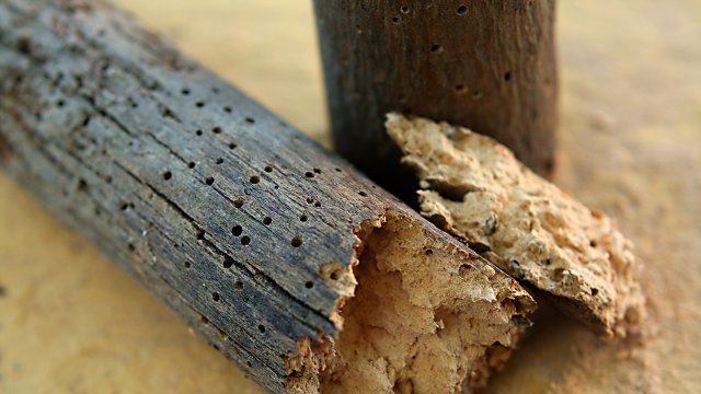 Man-made Sources - Nuclear energy - Energy Encyclopedia