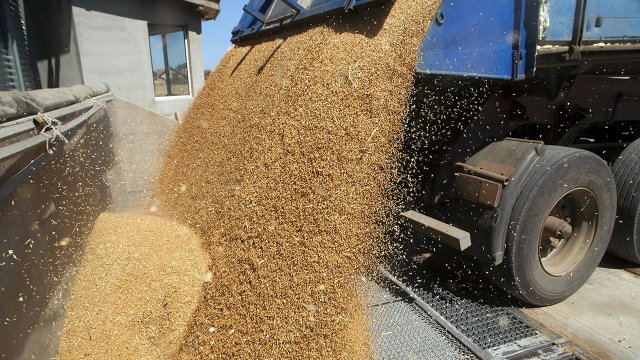 Types and Processing of Biomass - Renewable Energy Sources - Energy ...
